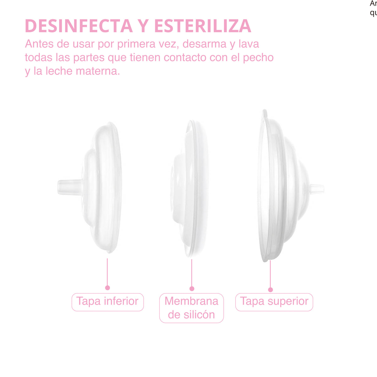 Protector Anti-Reflujo – Spectra MX